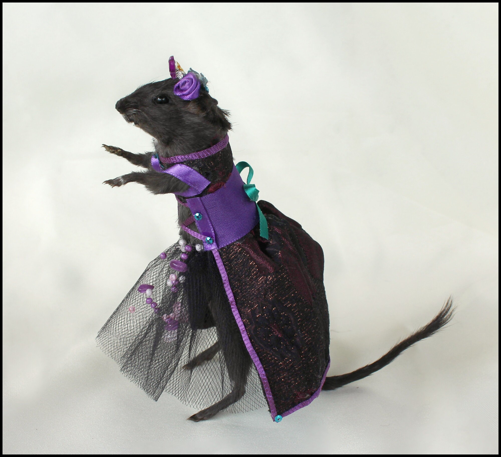 Taxidermy Gothic Goth Mouse Gerbil Ethical Witch - Etsy