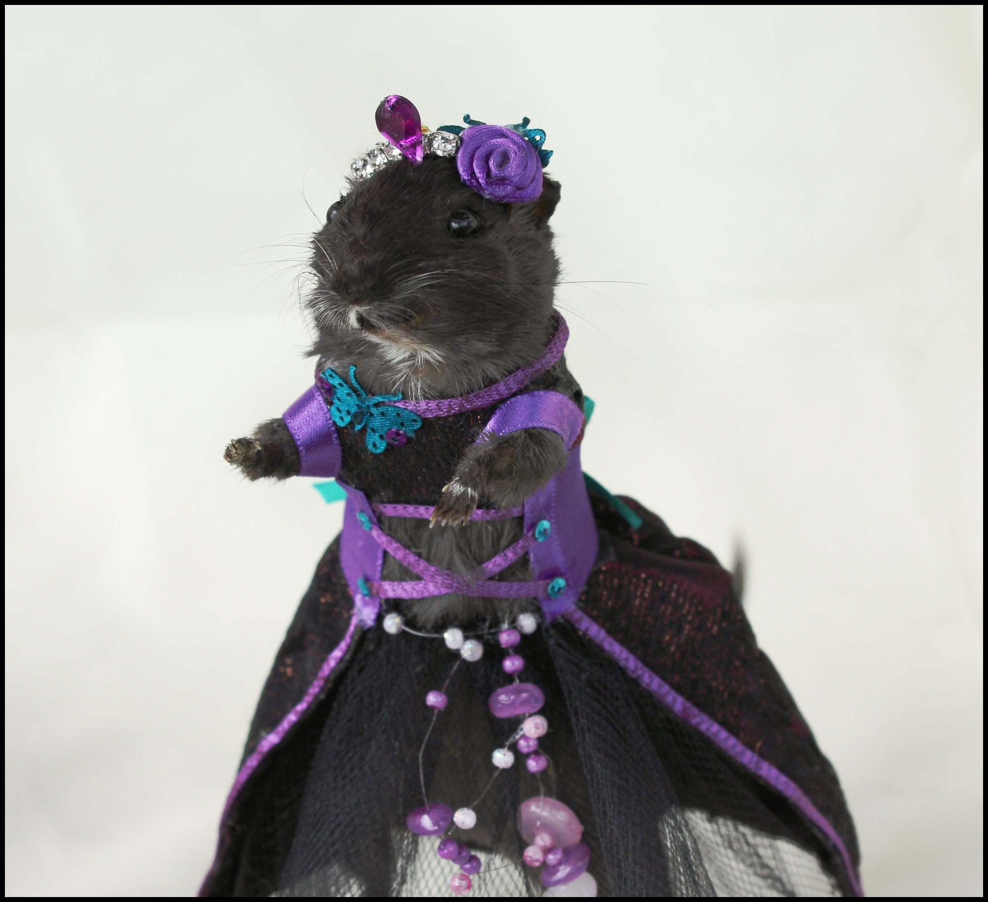 Taxidermy Gothic Goth Mouse Gerbil Ethical Witch - Etsy