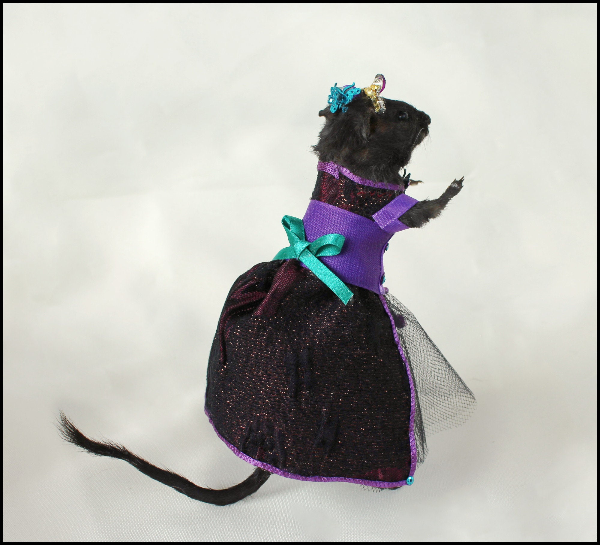 Taxidermy Gothic Goth Mouse Gerbil Ethical Witch - Etsy