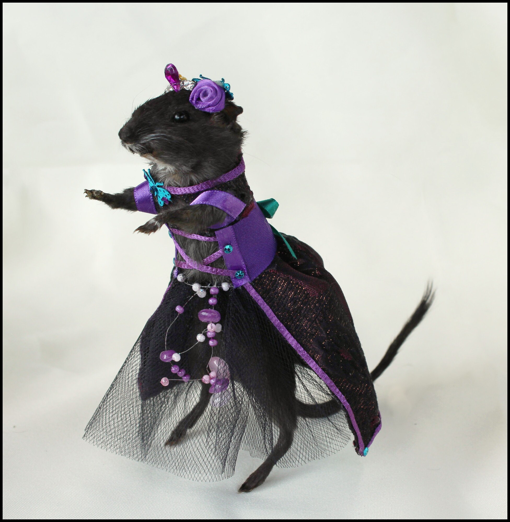 Taxidermy Gothic Goth Mouse Gerbil Ethical Witch - Etsy