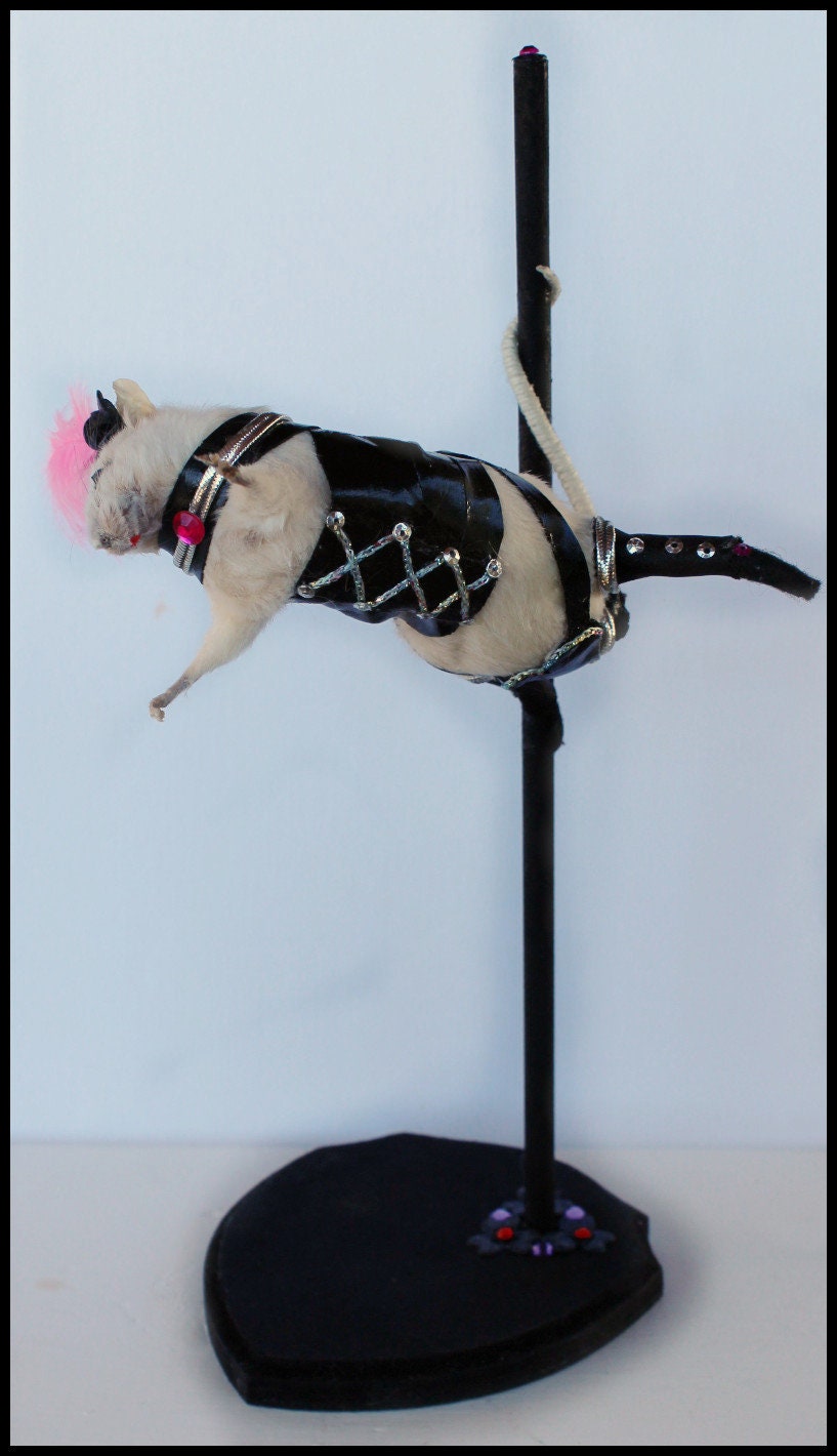 Taxidermy Mouse Pole Dancer Burlesque Stripper, Ethical Taxidermy Weird ...
