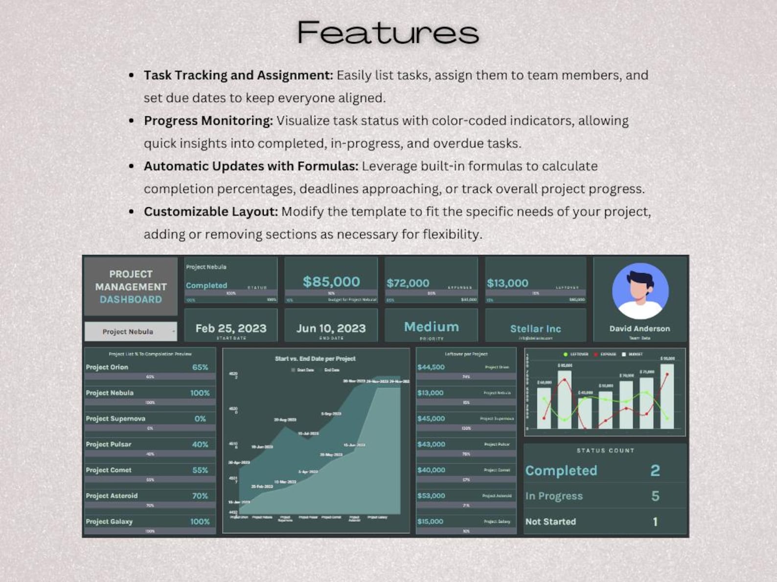 Project Management Dashboard Google Sheets and Excel | Project ...