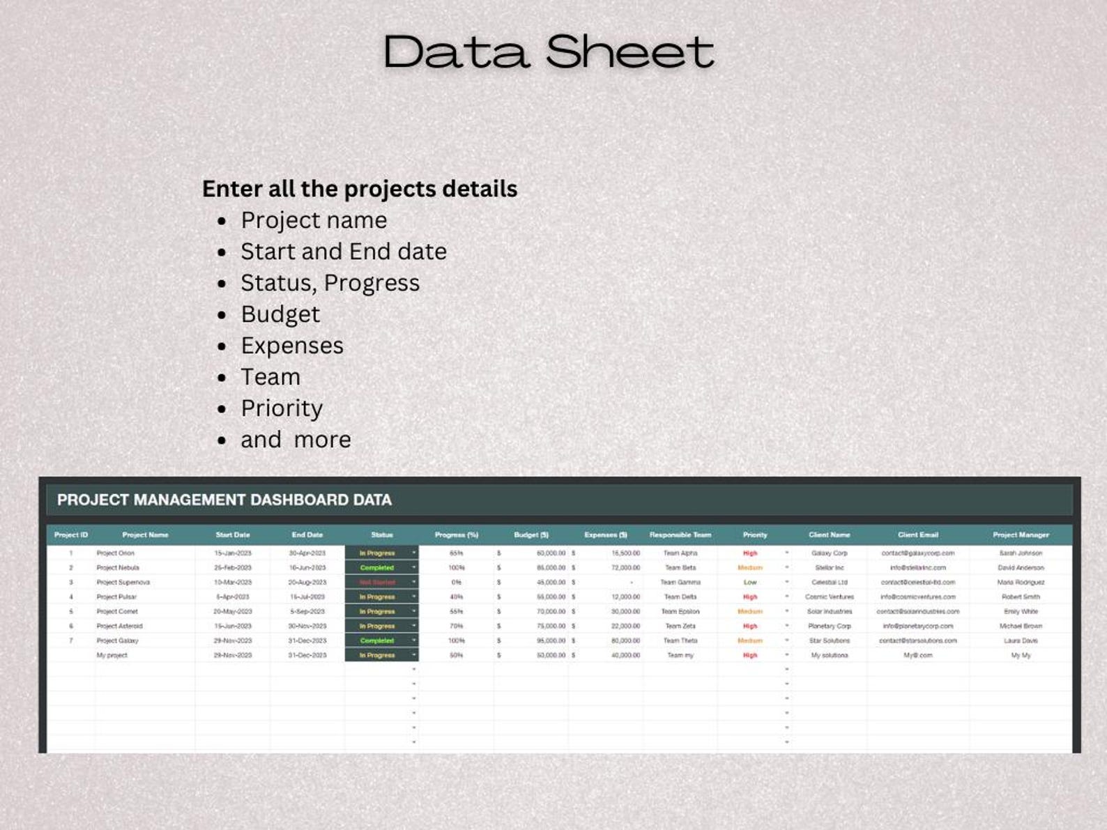 Project Management Dashboard Google Sheets and Excel | Project ...