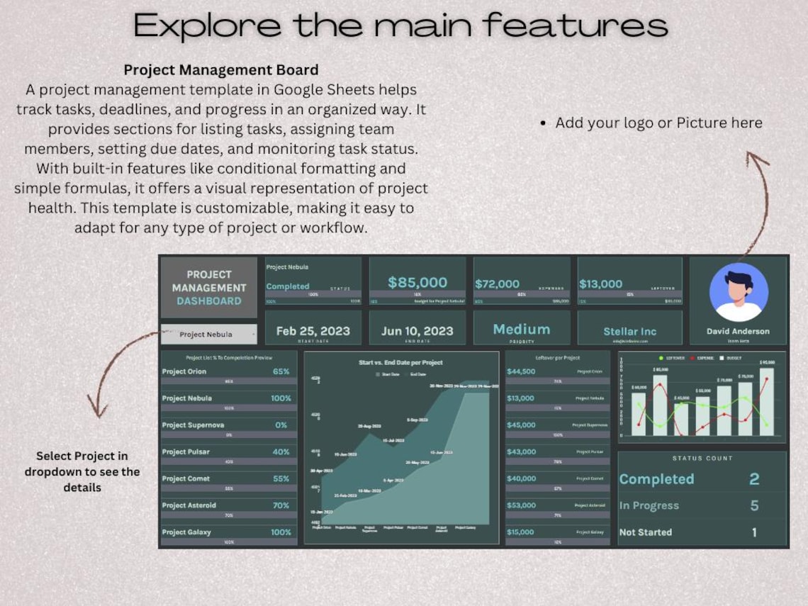 Project Management Dashboard Google Sheets and Excel | Project ...