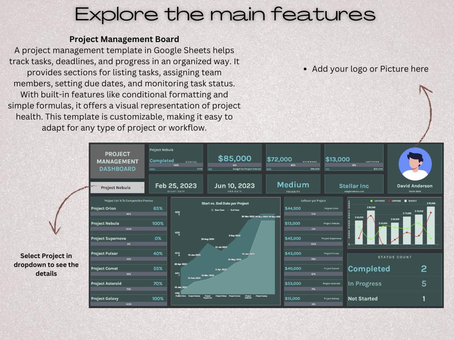Project Management Dashboard Google Sheets and Excel | Project ...