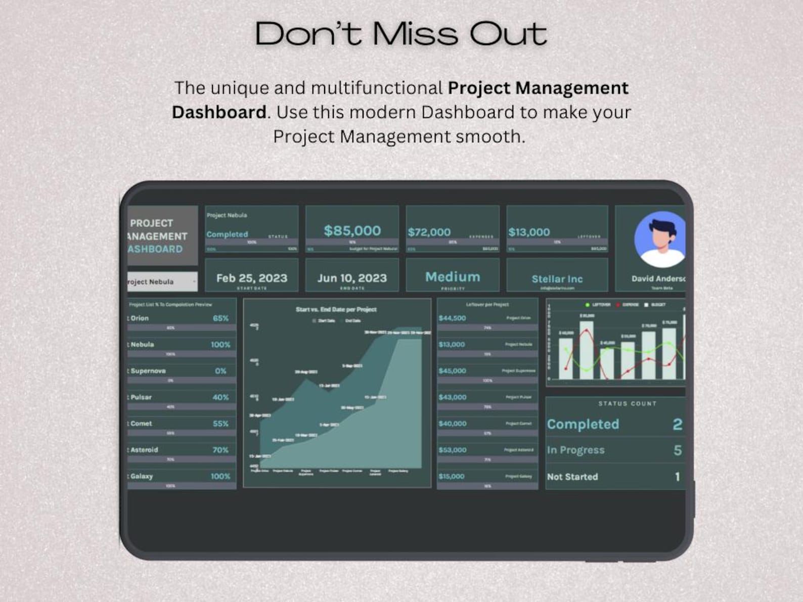 Project Management Dashboard Google Sheets and Excel | Project ...