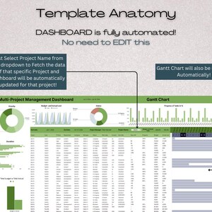 Project Management Dashboard | Multi-projects Dashboard | Multiple ...