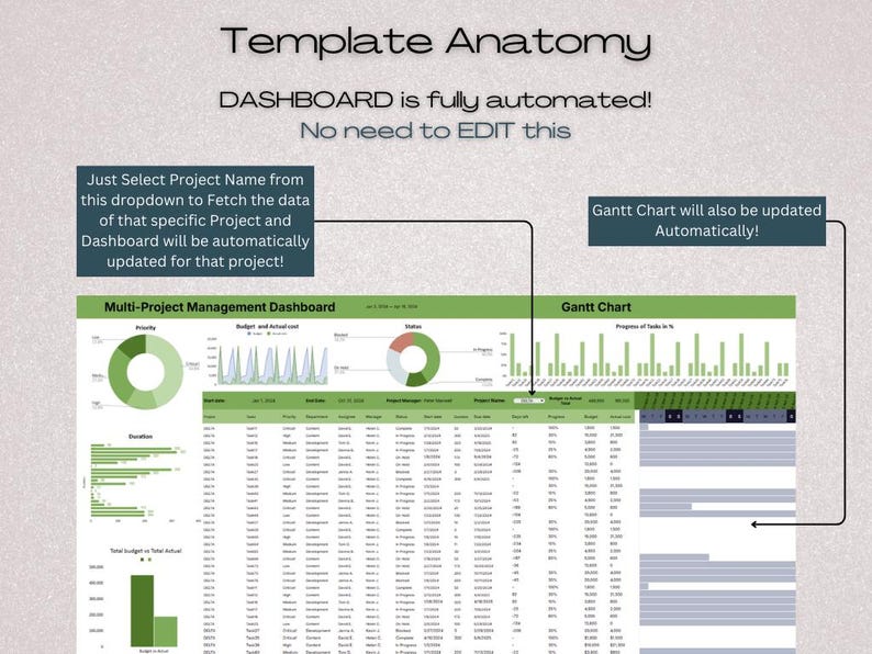 Project Management Dashboard | Multi-projects Dashboard | Multiple ...