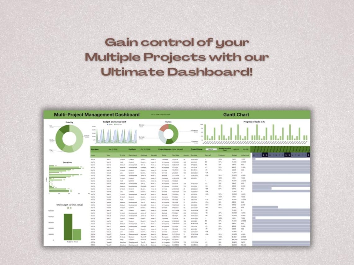 Project Management Dashboard | Multi-projects Dashboard | Multiple ...