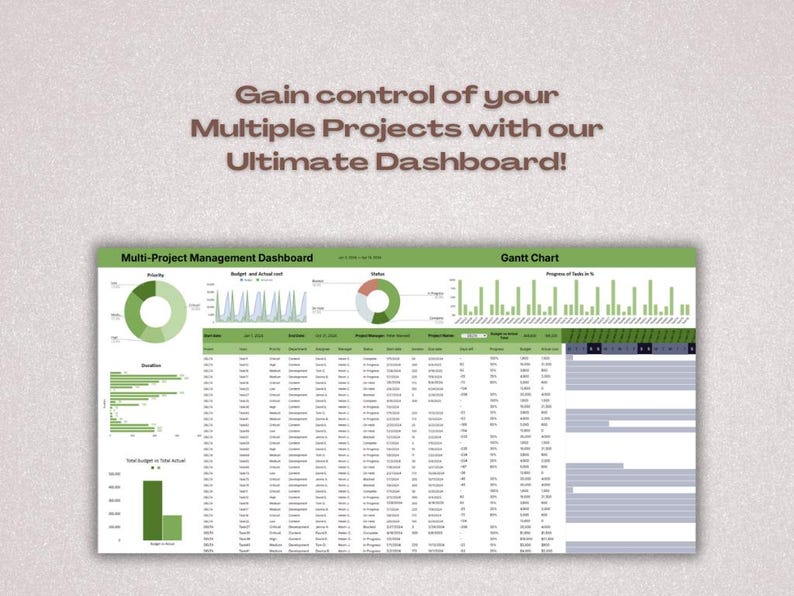 Project Management Dashboard | Multi-projects Dashboard | Multiple Project Status | Status ...
