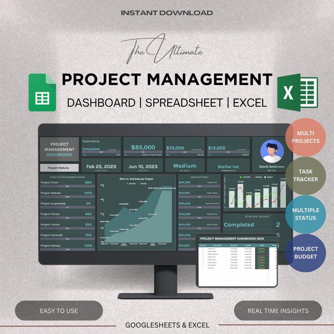 Project Management Dashboard Google Sheets and Excel | Project ...