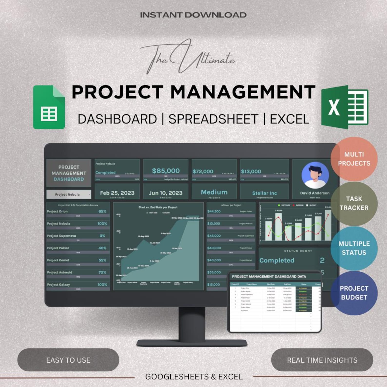Project Management Dashboard Google Sheets and Excel | Project ...