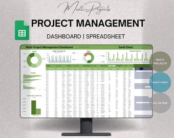 Project Management Dashboard | Multi-projects Dashboard | Multiple ...