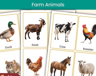 Farm Animals Flashcards | Real Photo Animal Vocabulary Cards for Kids ...