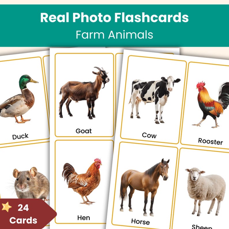 Farm Animals Flashcards | Real Photo Animal Vocabulary Cards for Kids ...