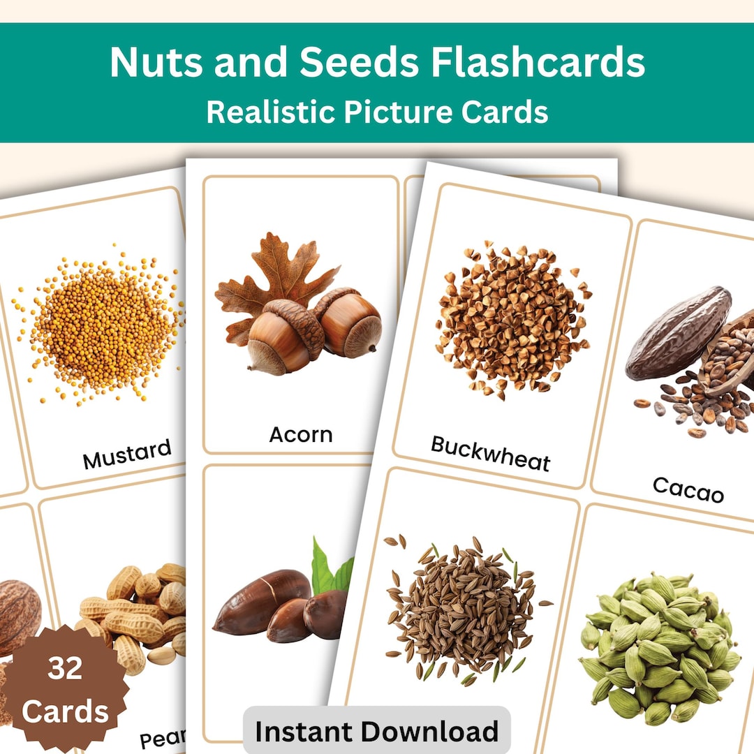 32 Nuts and Seeds Real Photo Flashcards | Food Vocabulary | Vocabulary ...