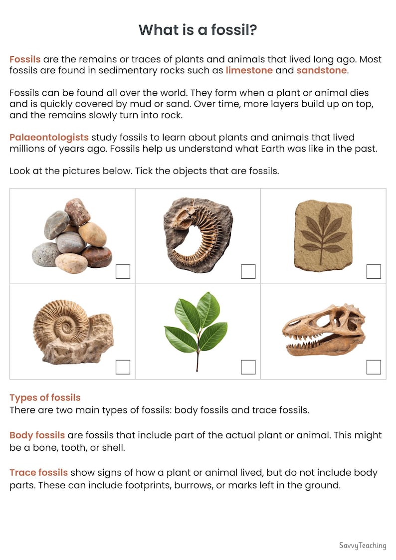 Year 3 Rocks Workbook | KS2 Science Worksheets | Rocks, Fossils, and ...