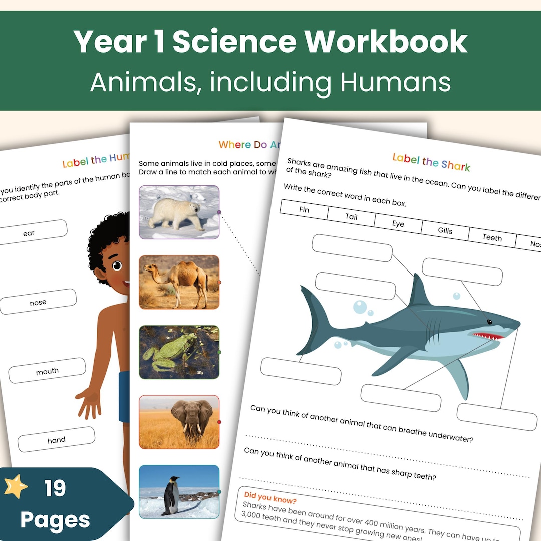 Year 1 Animals Including Humans Workbook | KS1 Science Worksheets ...