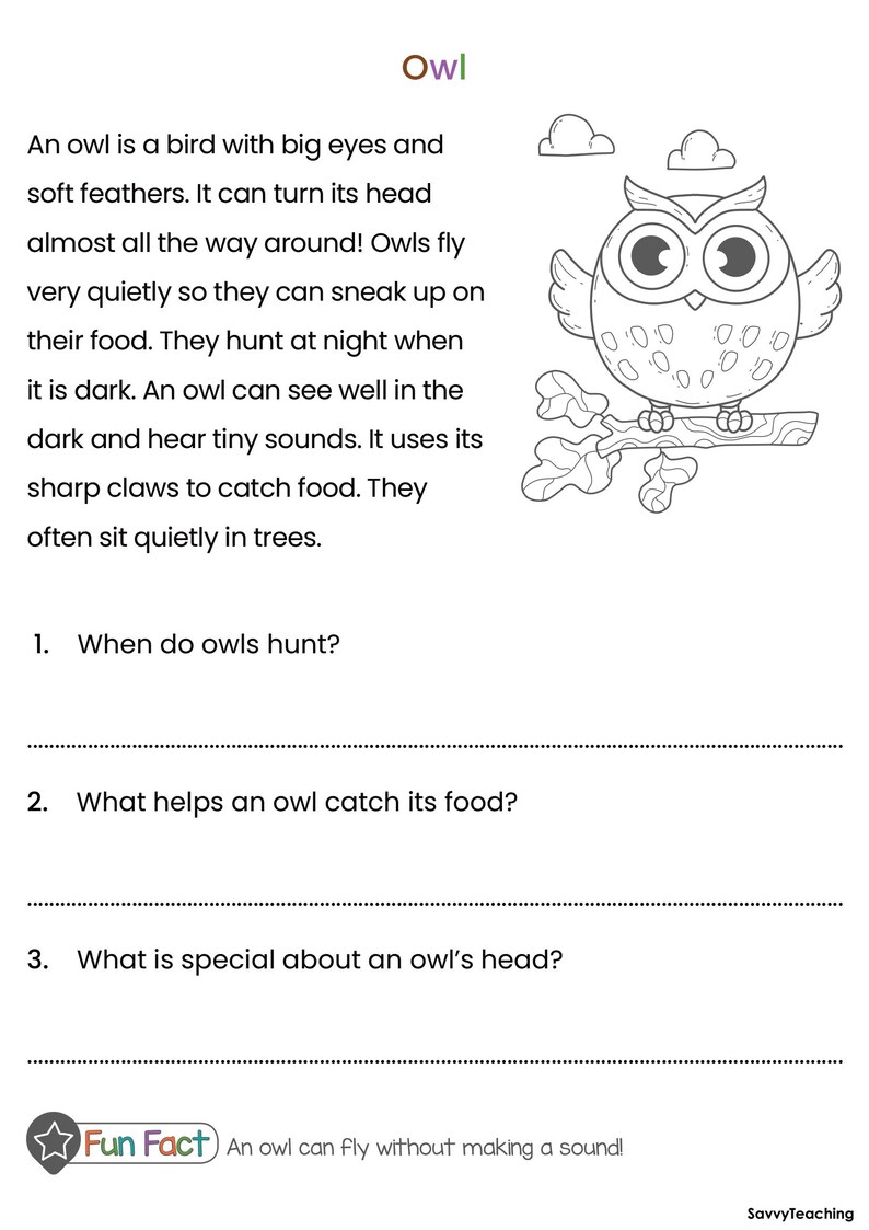 Feathered Creatures Reading Comprehensions Workbook | 20 Bird Passages ...