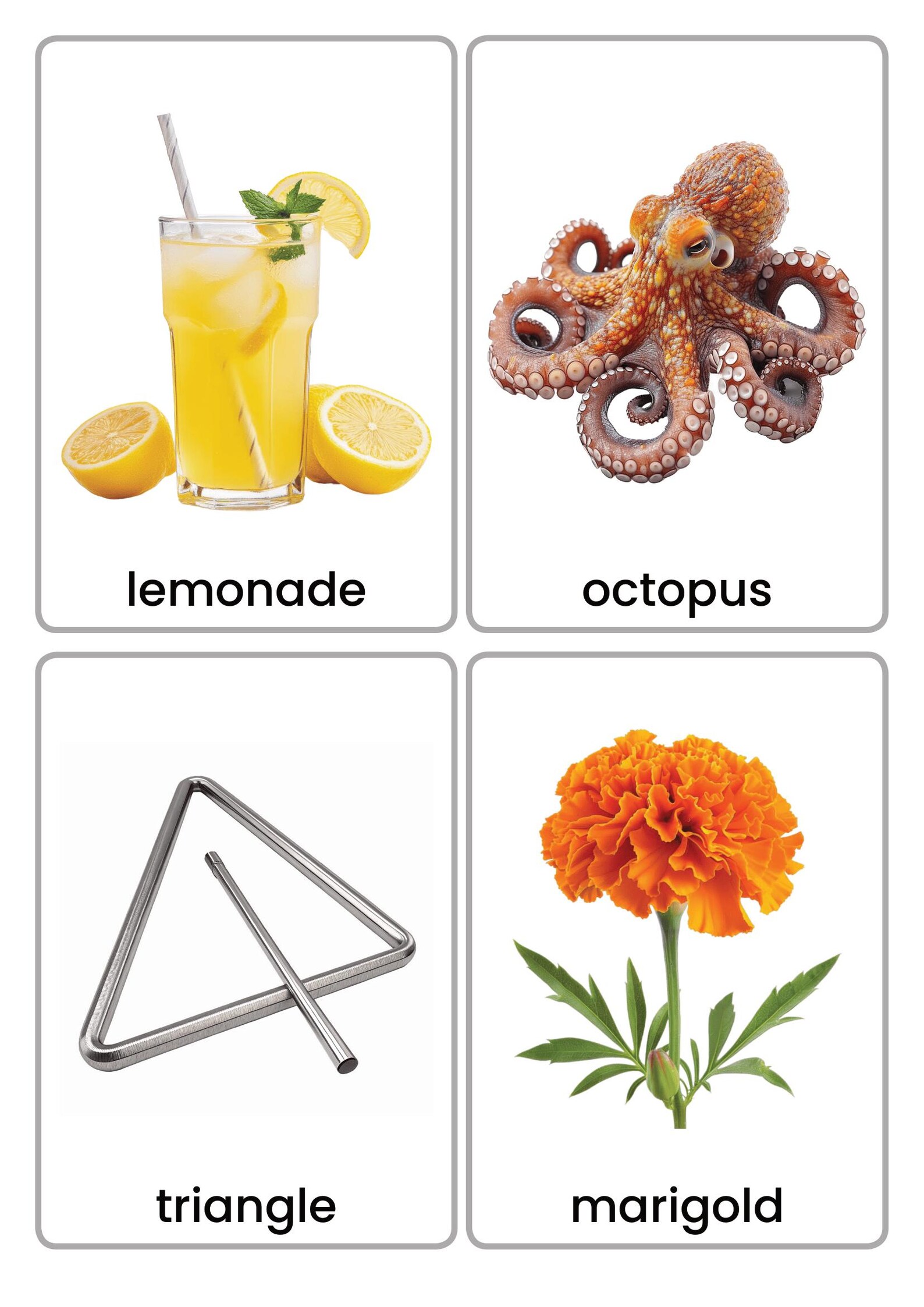 Three-syllable Words Flashcards | Real Photo Phonics Cards for Early ...