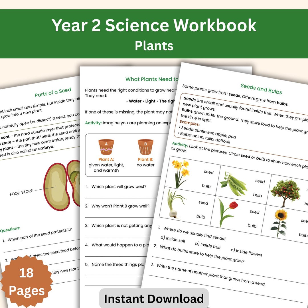 Year 2 Plants | Printable Science Workbook: Worksheets, Activities ...