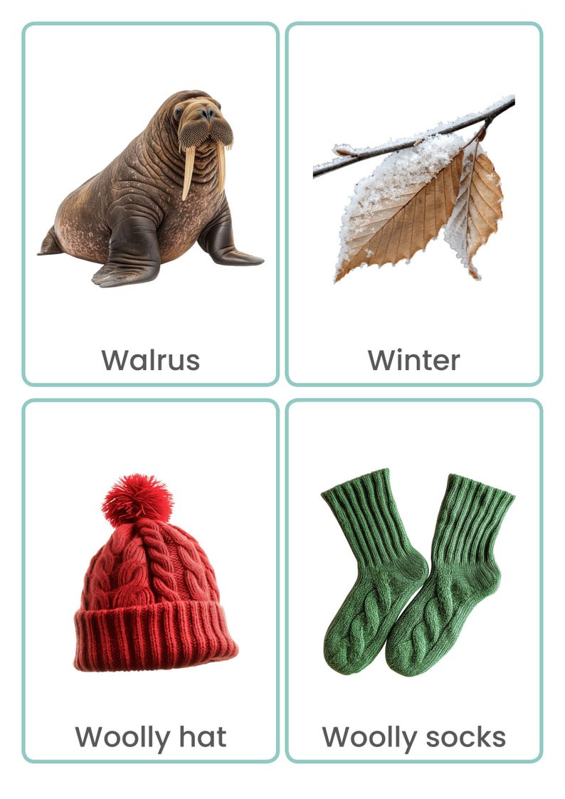 44 Winter Flashcards | Real Photo Seasonal Vocabulary Cards for Kids ...