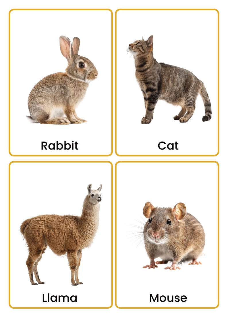 Farm Animals Flashcards | Real Photo Animal Vocabulary Cards for Kids ...