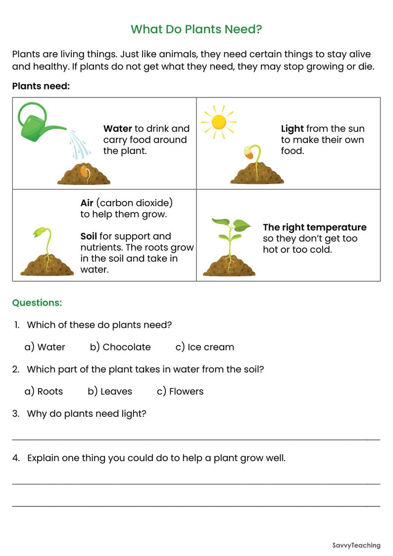 Year 2 Plants Workbook | KS1 Science Worksheets | National Curriculum ...