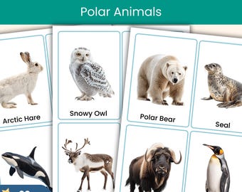 Reptiles and Amphibians Flashcards | Real Photo Animal Vocabulary Cards ...