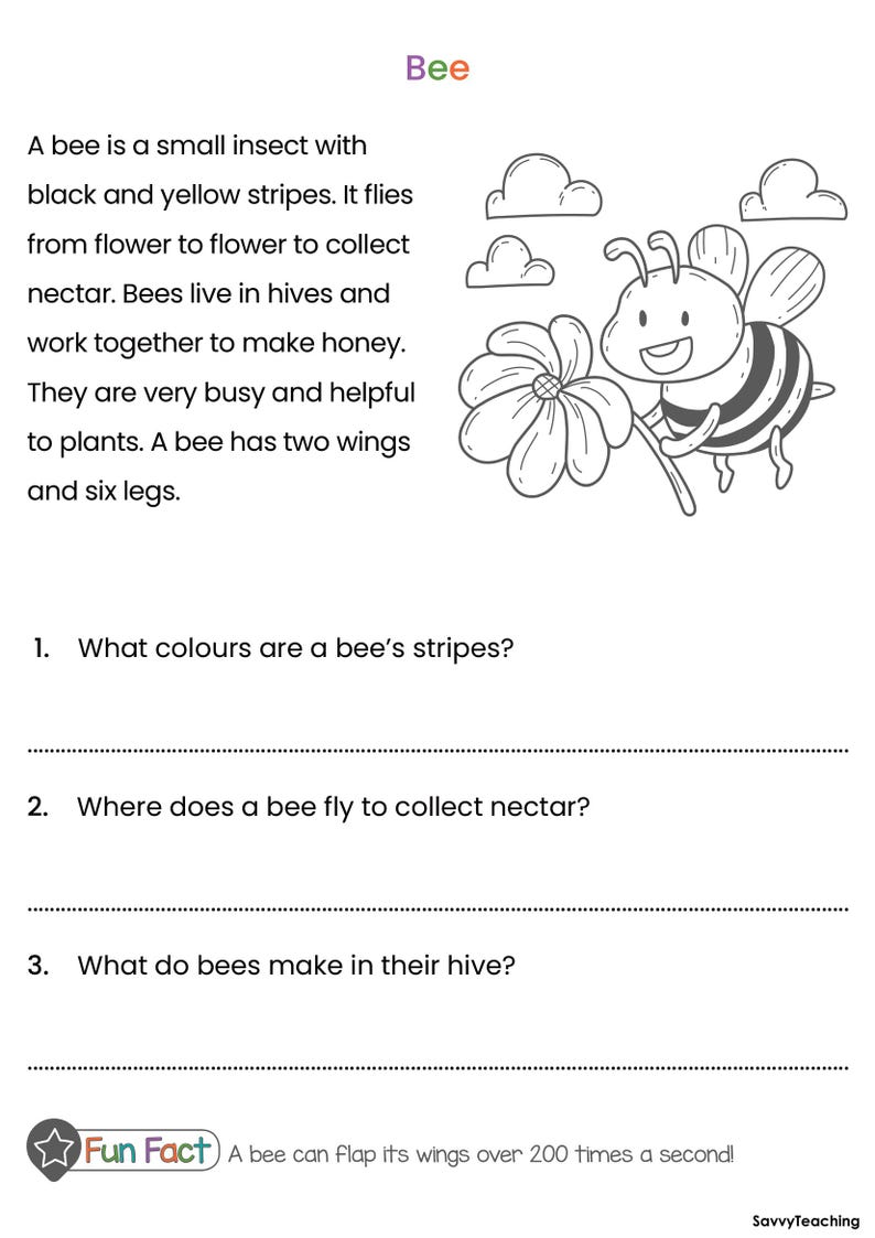 Bugs and Insects Reading Comprehension Worksheets | Short Passages With ...