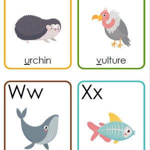 A-Z Animal Flashcards – Printable Alphabet Learning for Kids - Etsy