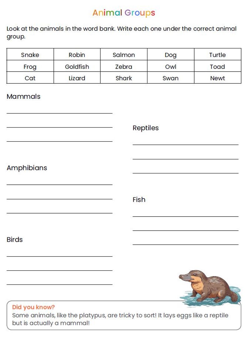 Year 1 Science Workbook | Animals Including Humans Activities | KS1 ...