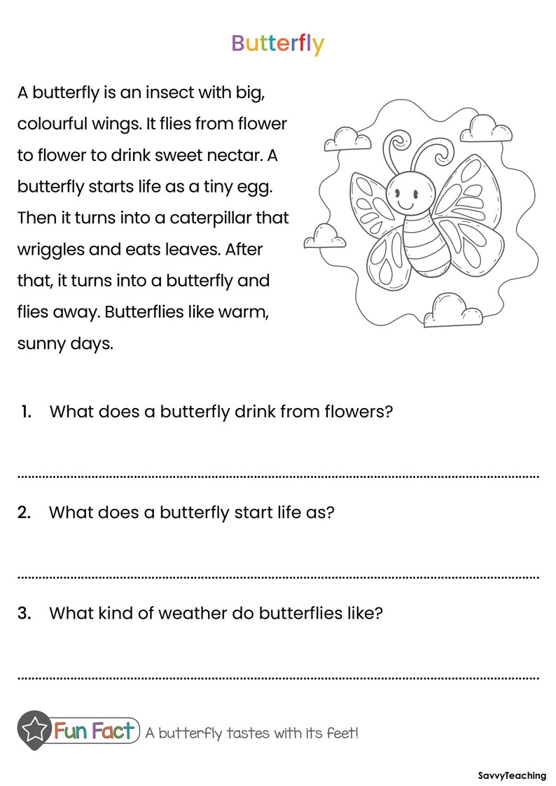 Bugs and Insects Reading Comprehension Worksheets | Short Passages With ...