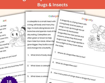 Bugs and Insects Reading Comprehension Worksheets | Short Passages With ...