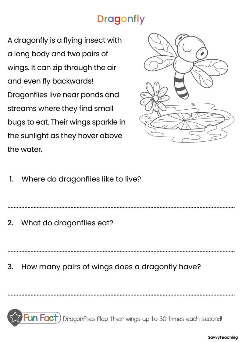 Bugs and Insects Reading Comprehension Worksheets | Short Passages With ...