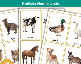 Farm Animals Flashcards | Real Photo Animal Vocabulary Cards for Kids ...