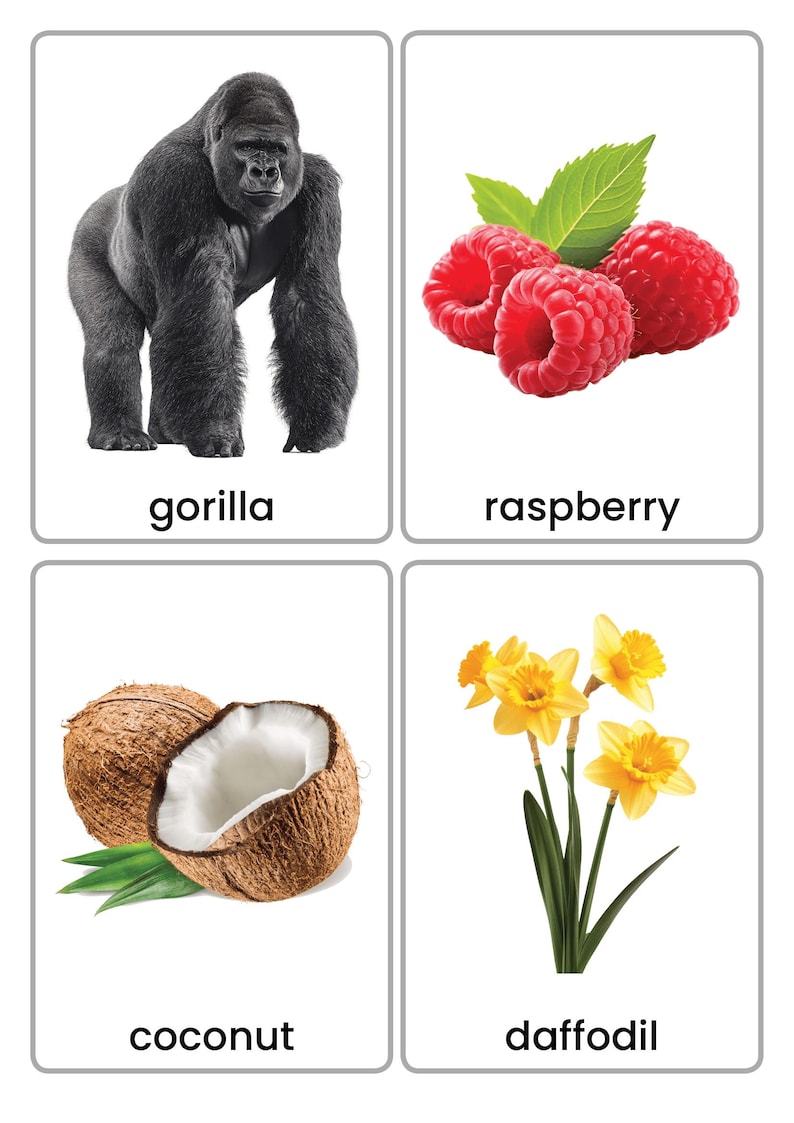 Three-syllable Words Flashcards | Real Photo Phonics Cards for Early ...