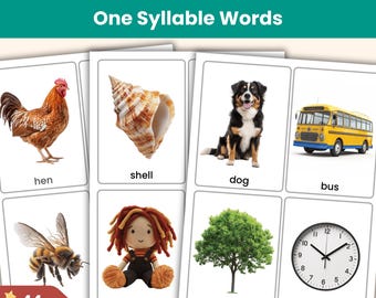 One-syllable Words Flashcards | Real Photo Phonics Cards for Early ...