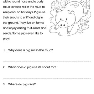 Farm Animals Reading Comprehensions Workbook | 17 Animal Passages With ...