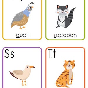 A-Z Animal Flashcards – Printable Alphabet Learning for Kids - Etsy
