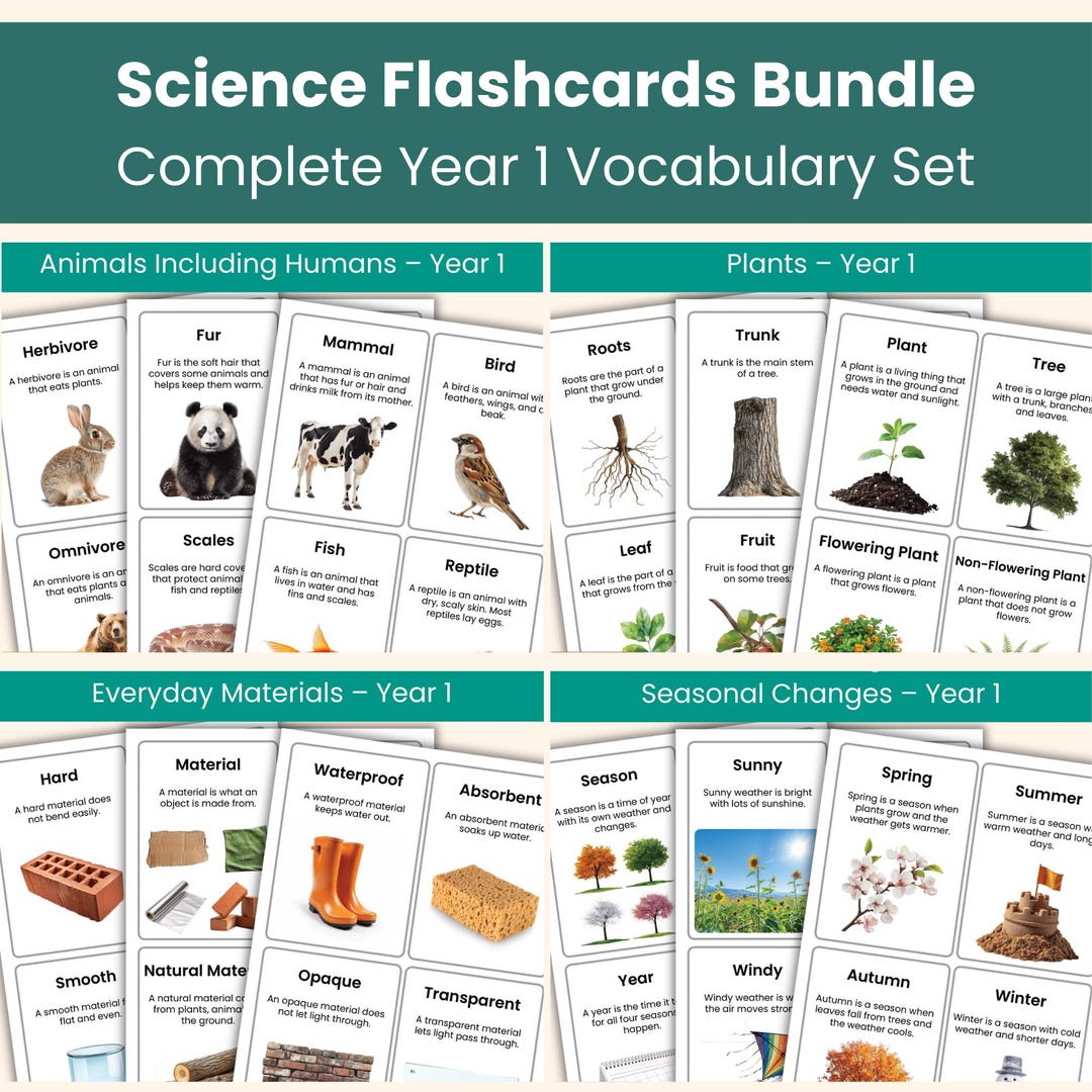 Year 1 Science Vocabulary Flashcards Bundle | Plants, Animals, Everyday ...