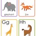 A-Z Animal Flashcards – Printable Alphabet Learning for Kids - Etsy