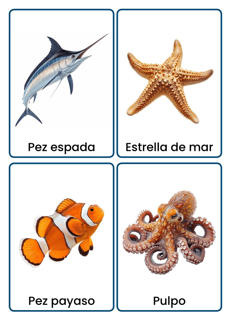 Spanish Sea Animals Flashcards | 24 Printable Vocabulary Cards for Kids ...