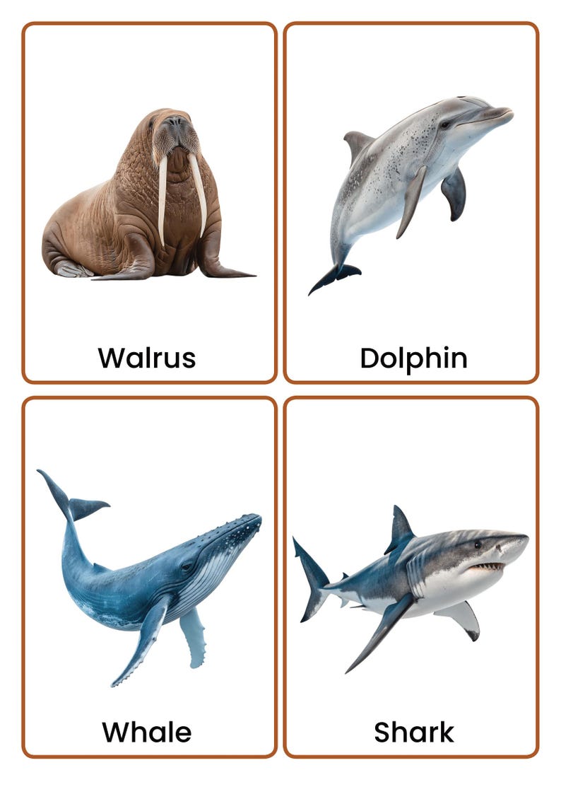 Wild Animals Flashcards | Real Photo Animal Vocabulary Cards for Kids ...