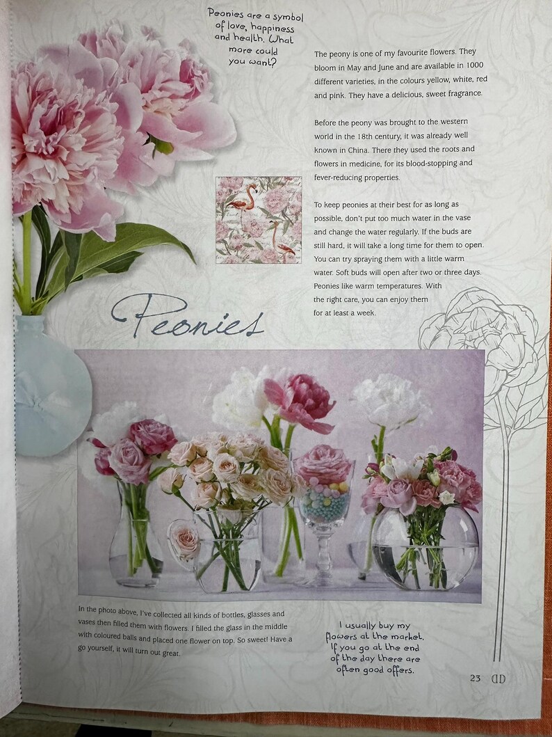 Daphne's Diary Magazine Volume #3 2017 the Netherlands - Etsy