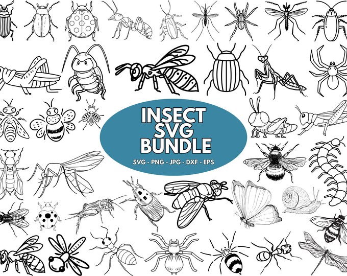 11 Highly Detailed Insect Collection SVG Digital Files for Laser ...