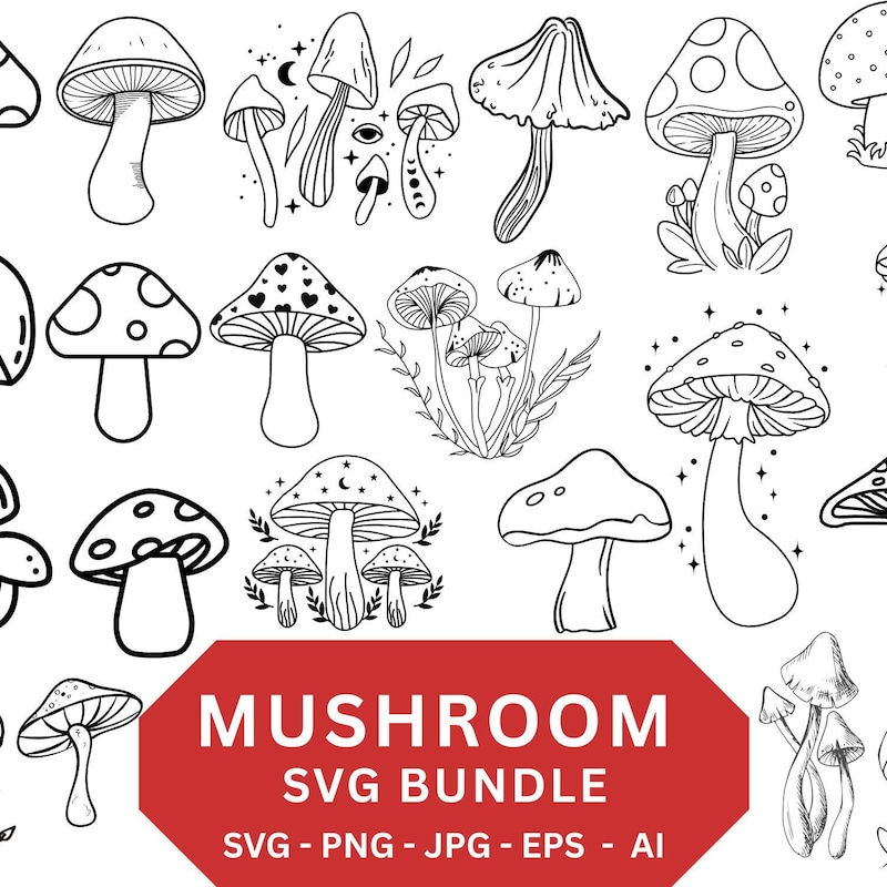 Moon Phase Clipart Svg - Etsy