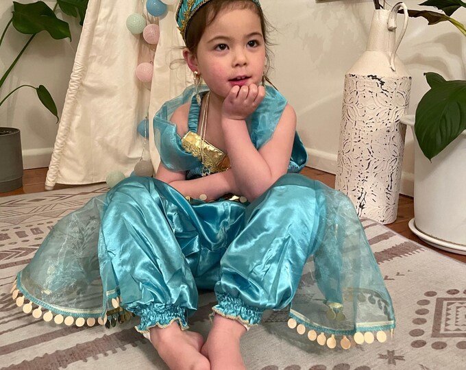 Disney's Princess Jasmine Inspired Dress up Costume - Etsy