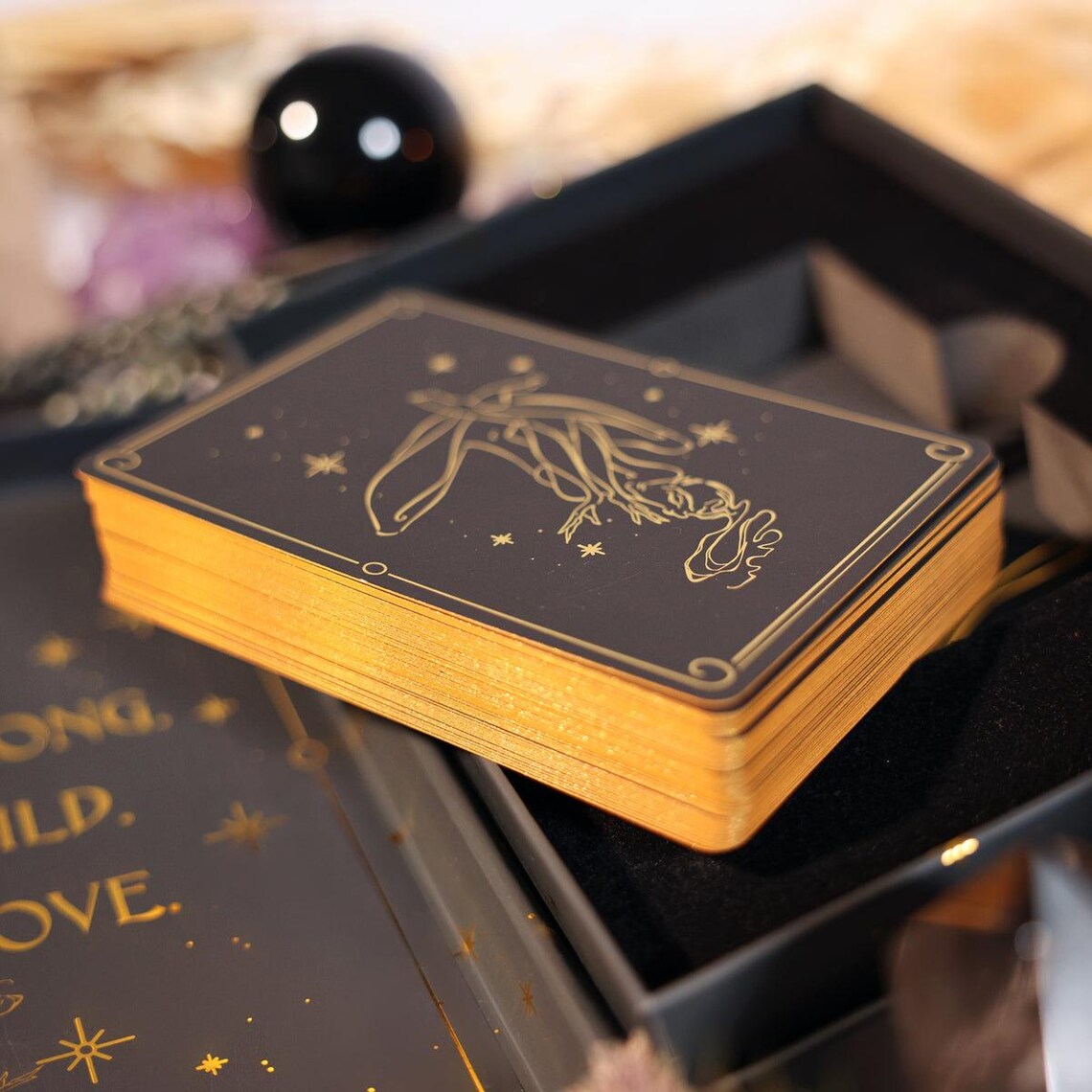 The Wild Muse Oracle Deck & Guidebook - Etsy