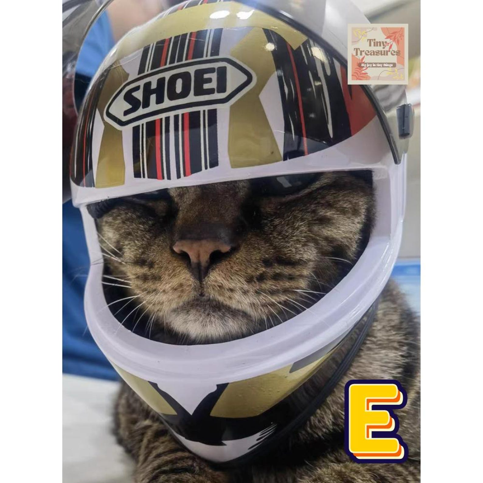 Mini Motorcycle Helmet for Cats & Small Dogs | 9 Styles Pet Biker ...